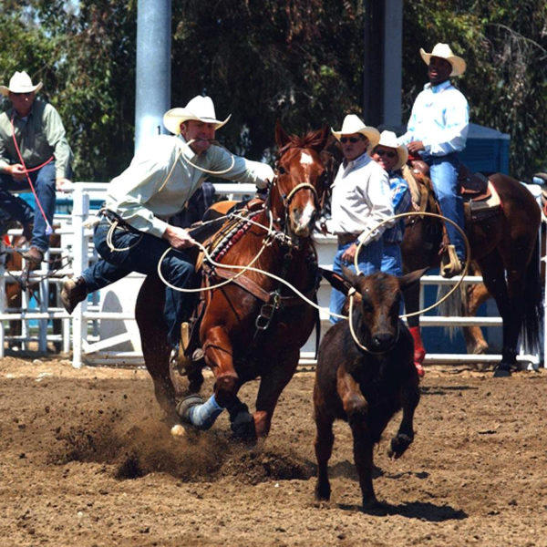Ropin and Ranch Supply, Wainwright AB, Western Stores featuring Western ...